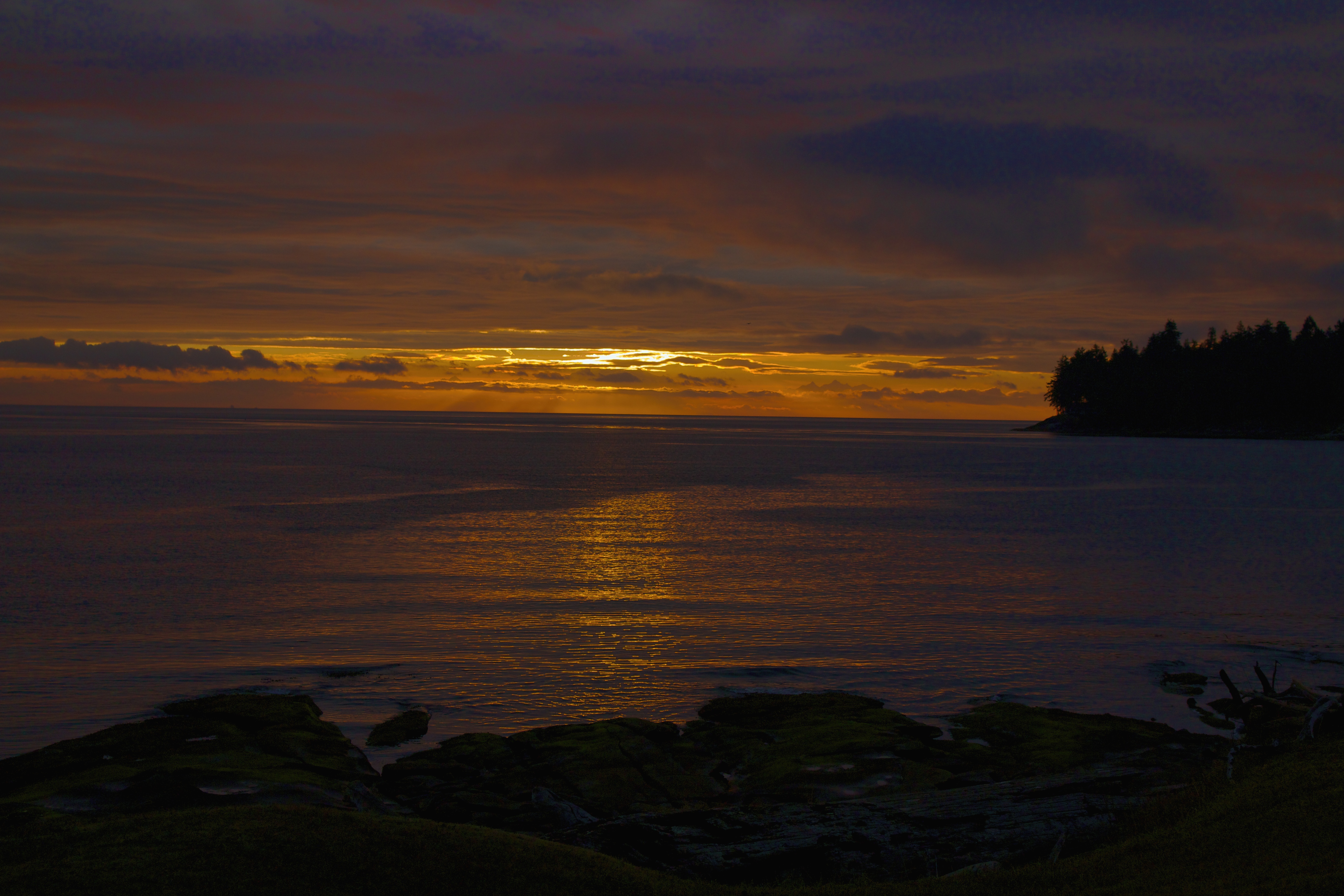 Sunrise, just before the rain | Curious Spectacles