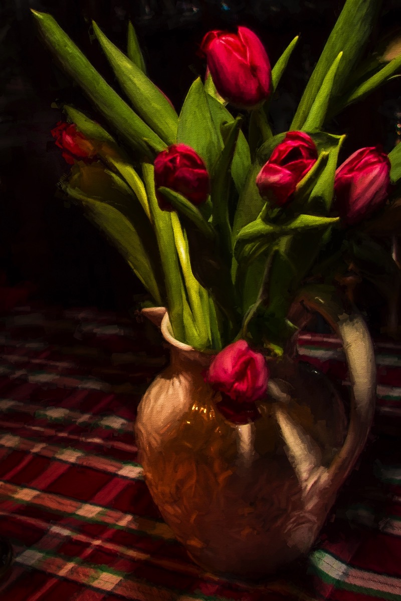 Tulips at Christmas | Curious Spectacles